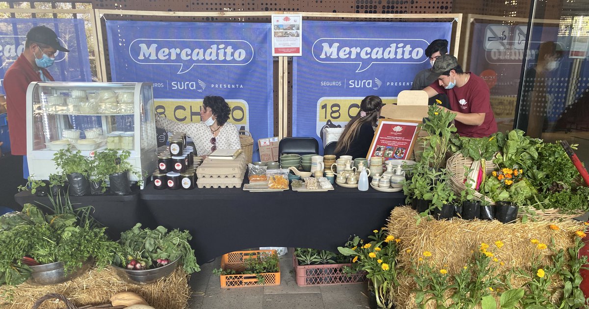 Mercadito y zonas de descanso | Centro Gabriela Mistral